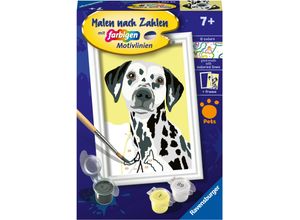 4005556237555 - Malen nach Zahlen RAVENSBURGER CreArt Niedlicher Hund bunt Malvorlagen KinderB5cm H12cm Made in Europe B5cm H12cm