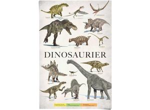 8714597539462 - Poster REINDERS Dinosaurier grün (farbe bild(er) grün) B61cm H915cm Papier Bilder