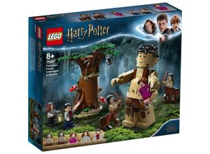 5702016616675 - LEGO Harry Potter 75967 - Der Verbotene Wald Begegnung mit Umbridge