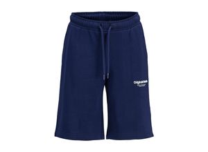 5715716181077 - Jack & Jones Junior Hose VESTERBRO Shorts