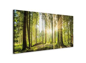 5903428162167 - artgeist Leinwandbild  Hellgrün Waldgrün  Textil Holzwerkstoff  5-teilig  Landschaft & Natur Bäume  rechteckig  200x80x12 cm  Keilrahmen 