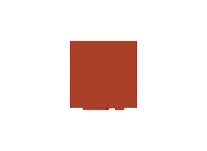 8427951048530 - Whiteboard Skincolor BASIC-Version - Stahlblech lackiert BxH 1000 x 1000 mm orange kaiserkraft