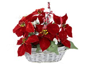 4019844775629 - Kunstblume IGEA Arrangement Kunstpflanzen Gr B H L 32 cm x 30 cm x 20 cm rot Weitere Weihnachtsdeko Poinsettia Beeren im Korb
