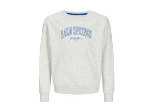 5715676635641 - Jack & Jones Junior Pullover DETROIT Sweatshirt