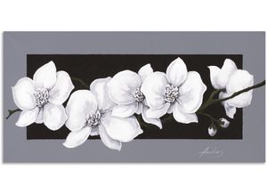 4057738416630 - Wandbild ARTLAND Weiße Orchideen auf grau Bilder Gr B H 60 cm x 30 cm Alu-Dibond-Druck Blumen 1 St schwarz Bild Leinwandbild Kunstdrucke Bilder als Alubild Leinwandbild Wandaufkleber oder Poster in versch Größen