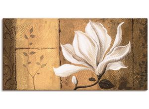 4055327160254 - Wandbild ARTLAND Magnolie an Gold-Braun Bilder Gr B H 60 cm x 30 cm Leinwandbild Blumen 1 St beige (naturfarben) Bild Poster Bilder als Alubild Leinwandbild Wandaufkleber oder in versch Größen