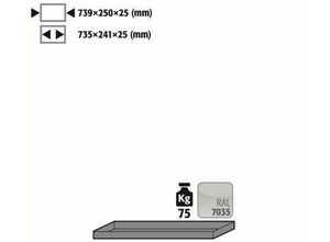 4250101139758 - Fachboden Standard für asecos Druckgasflaschenschränke Stahlblech lichtgrau B 739 x T 250 x H 25 mm bis 75 kg