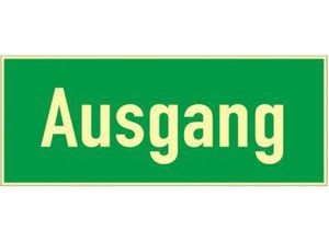 4060081001231 - Schild Ausgang HLK Kunstoff langleuchtend