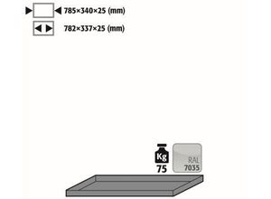 4250101139789 - Fachboden Standard für asecos Druckgasflaschenschränke Stahlblech lichtgrau B 785 x T 340 x H 25 mm bis 75 kg