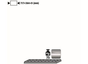 4250101144905 - Lochblecheinsatz Standard für asecos Sicherheitsschränke der UB90 Serie Edelstahl 14016 B 717 x T 364 x H 9 mm bis 75 kg