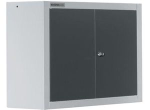 4051273646217 - Select Wandschrank MS 750 zweitürig mit Zwischenboden B 750 x T 320 x H 600 mm Stahl weißaluminium anthrazitgrau