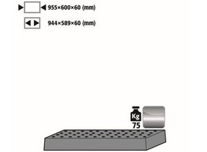 4250101142642 - Lochblecheinsatz Standard für asecos Sicherheitsschränke der UB90 Serie Edelstahl 14301 B 955 x T 600 x H 60 mm bis 75 kg