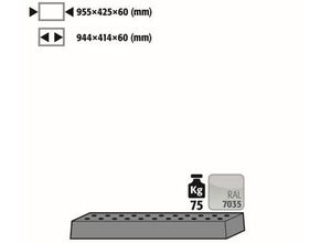 4250101141201 - Lochblecheinsatz Standard für asecos Sicherheitsschränke der UB90 und UB30 Serie Stahlblech lichtgrau B 955 x T 425 x H 60 mm bis 75 kg