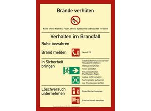 4060081013746 - moedel Brandschutzschild „Brandschutzordnung (ohne Handfeuermelder)“ nach DIN 14096-Teil A Kunststoff langnachleuchtend B 210 x H 297 mm