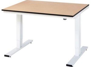 4040376068460 - Rau Werktisch Adlatus elektrisch höhenverstellbar 22 mm MDF-Platte bis 300 kg B 1250 x T 1000 x H 720-1120 mm braun lichtgrau