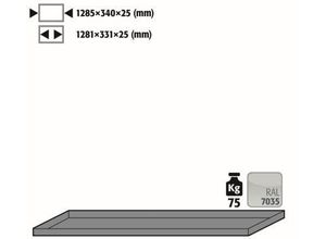 4250101139666 - Fachboden Standard für asecos Druckgasflaschenschränke Stahlblech lichtgrau B 1285 x T 340 x H 25 mm bis 75 kg