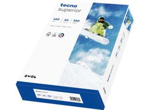 4011211074397 - Kopierpapier tecno superior DIN A4 160 g m² hochweiß 1 Karton = 5 x 250 Blatt