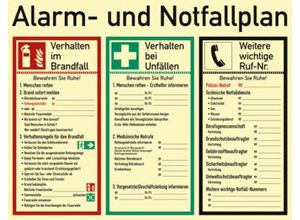 4060081052172 - moedel Hinweisschild „Alarm- und Notfallplan“ 3-spaltig EN ISO 7010 Leuchtklasse C 160 mcd m² L 480 x B 620 mm Kunststoff mehrfarbig