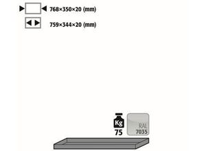4250101138799 - Fachboden Standard für asecos Sicherheitsschränke der K90 und UB90 Serie Stahlblech lichtgrau B 768 x T 350 x H 20 mm bis 30 kg