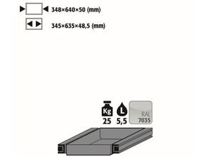 4250101187872 - Auszugswanne Standard für asecos Sicherheitsschränke der S90 Serie Stahlblech lichtgrau B 348 x T 640 x H 50 mm 55 l bis 25 kg
