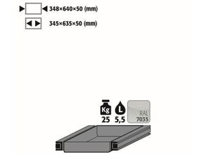 4250101138652 - Auszugswanne Standard für asecos Sicherheitsschränke der S90 Serie Stahlblech lichtgrau B 348 x T 640 x H 50 mm 55 l bis 25 kg