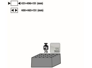 4250101186691 - Lochblecheinsatz Standard für asecos Sicherheitsschränke der Q30 Q90 S90 und K90 Serie Stahlblech lichtgrau B 431 x T 496 x H 151 mm bis 75 kg