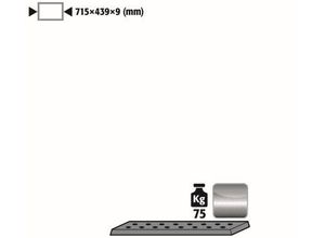 4250101141683 - Lochblecheinsatz Standard für asecos Sicherheitsschränke der UB90 und UB30 Serie Edelstahl 14016 B 717 x T 436 x H 9 mm bis 75 kg