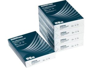 4251898800913 - Genius Kopierpapier Professional DIN A3 80 g m² hochweiß 1 Karton = 5 x 500 Blatt