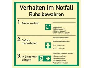 4060081000814 - moedel Notfall- und Rettungsschild Verhalten im Notfall nach DIN EN ISO 7010 Kunststoff langnachleuchtend B 180 x H 180 mm
