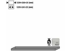4250101139598 - Fachboden Standard für asecos Druckgasflaschenschränke Stahlblech lichtgrau B 1239 x T 250 x H 25 mm bis 75 kg