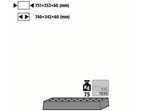 4250101144035 - Lochblecheinsatz Standard für asecos Sicherheitsschränke der K90 und UB90 Serie Stahlblech lichtgrau B 751 x T 353 x H 60 mm bis 75 kg