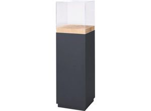 4260257841979 - Präsentationssäule 1 Fachboden bis 30 kg T 350 x H 1190 mm Hirnholz-Eiche Plexiglas schwarz-matt