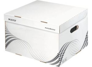 4002432590254 - LEITZ® Archivcontainer easyboxx 15 Stück Gr L