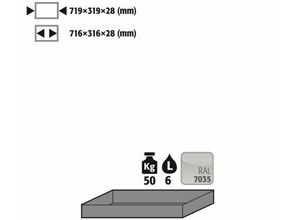 4054923236622 - Wannenboden Standard für asecos Sicherheitsschränke V-MOVE-90 Stahlblech lichtgrau B 319 x T 719 x H 28 mm 6 l bis 50 kg