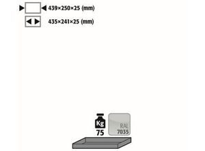 4250101139796 - Fachboden Standard für asecos Druckgasflaschenschränke Stahlblech lichtgrau B 439 x T 250 x H 25 mm bis 75 kg