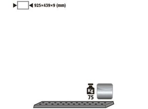 4250101141676 - Lochblecheinsatz Standard für asecos Sicherheitsschränke der UB90 und UB30 Serie Edelstahl 14016 B 925 x T 436 x H 9 mm bis 75 kg