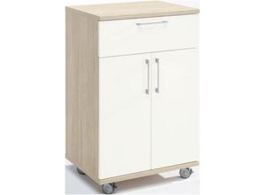 4251898827965 - Mobiler Catering-Schrank mit Flügeltüren B 650 x T 500 x H 1000 mm Artic Oak-Dekor weiß
