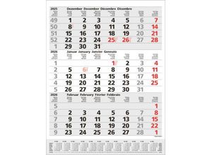 9783731885016 - 3-Monatsplaner Comfort 2026 Wandkalender Datumsschieber Kalendarium für D GB F I Feiertage rot B 300 x H 390 mm Papier grau