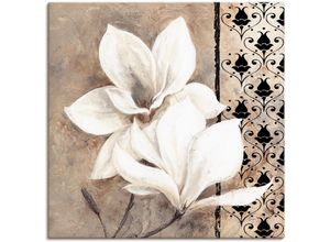 4062144596913 - Wandbild ARTLAND Klassische Magnolien Bilder Gr B H 40 cm x 40 cm Leinwandbild Blumenbilder quadratisch 1 St beige (naturfarben) Kunstdrucke als Alubild Leinwandbild Wandaufkleber oder Poster in versch Größen