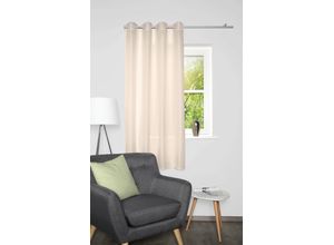 4056751518642 - Vorhang HOME BASICS BENOGA beige B135cm H175cm Polyester Gardinen Ösenschal Uni Dekostruktur