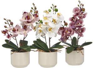 4064118351764 - Kunstorchidee CREATIV GREEN Orchidee Phalaenopsis mauve weiß cremelila H28cm Ø18cm Kunststoff Kunstpflanzen mit real-touch-Blüten