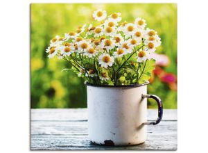 4057738316282 - Wandbild ARTLAND Frühlingsgarten mit Gänseblümchen Bilder Gr B H 30 cm x 30 cm Leinwandbild Blumen quadratisch 1 St grün Bild Poster Bilder als Alubild Leinwandbild Wandaufkleber oder in versch Größen