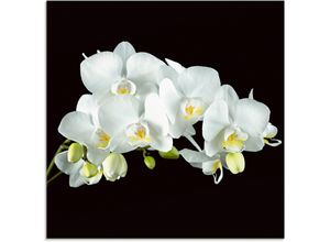 4058661627759 - Glasbild ARTLAND Weiße Orchidee auf schwarzem Hintergrund Bilder Gr B H 20 cm x 20 cm Blumen 1 St weiß Glasbilder Bilder in verschiedenen Größen