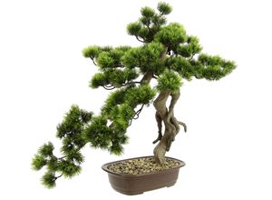4019844795887 - Kunstpflanze IGEA Bonsai Baum in Schale Kunstpflanzen Gr B H L 48 cm x 58 cm x 30 cm 1 St grün Künstliche Zimmerpflanzen Exotische Bäume Zen Garten