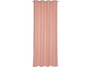 4005414267472 - Vorhang ESPRIT Harp Gardinen Gr 250 cm Ösen 140 cm rosa (rosé) Ösen Gardine HxB 250x140 Blickdicht mit Lederlabel (BxH) 140 x 250 cm