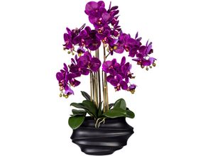 4064118070696 - Kunstorchidee CREATIV GREEN Phalaenopsis Kunstpflanzen Gr H 75 cm 1 St lila Kunst-Orchideen Kunstpflanzen in Design-Kunststoffvase