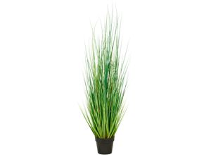 4064118325550 - Kunstgras CREATIV GREEN Grasbusch Miscanthus grün H145cm Kunststoff Kunstpflanzen mit naturgetreuen Grashalmen
