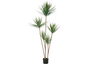4064118352471 - Kunstpflanze CREATIV GREEN Dracaena draco grün H165cm Kunststoff Kunstpflanzen mit 5 Stämmen