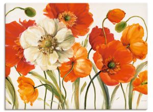 4055327745895 - Wandbild ARTLAND Mohnblumen I Bilder Gr B H 80 cm x 60 cm Leinwandbild Blumen Querformat 1 St orange Bild Poster Bilder als Leinwandbild Wandaufkleber oder in versch Größen