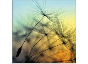 4062144102220 - Glasbild ARTLAND Goldener Sonnenuntergang und Pusteblumen Bilder Gr B H 20 cm x 20 cm Blumen 1 St gelb Glasbilder Bilder in verschiedenen Größen